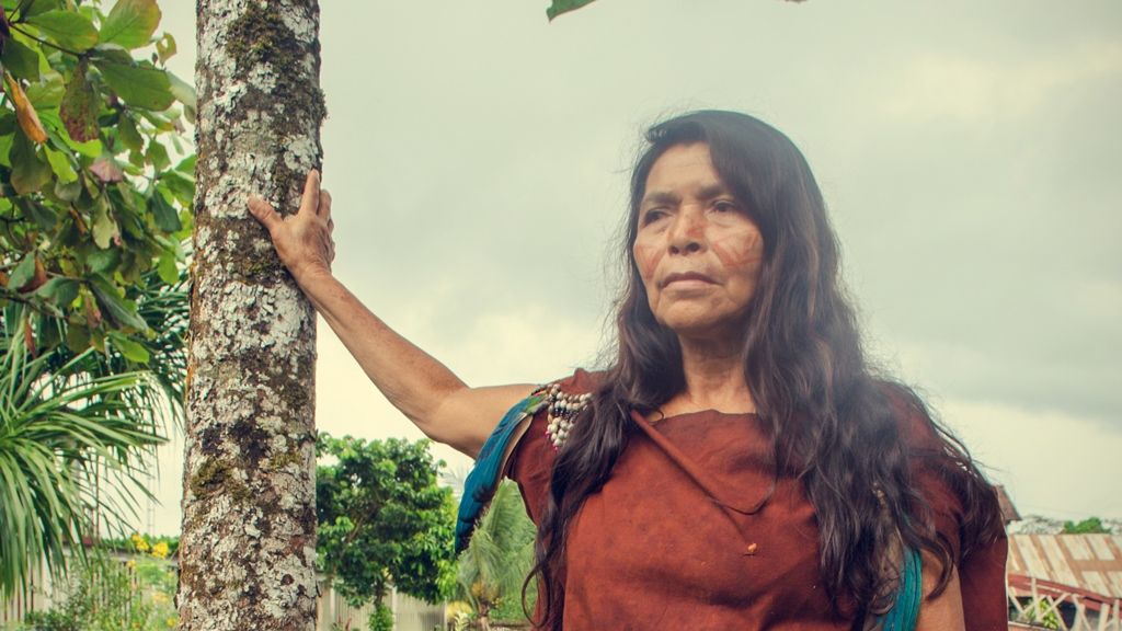 La vestimenta Yanesha, diseños y significados | chirapaq.org.pe