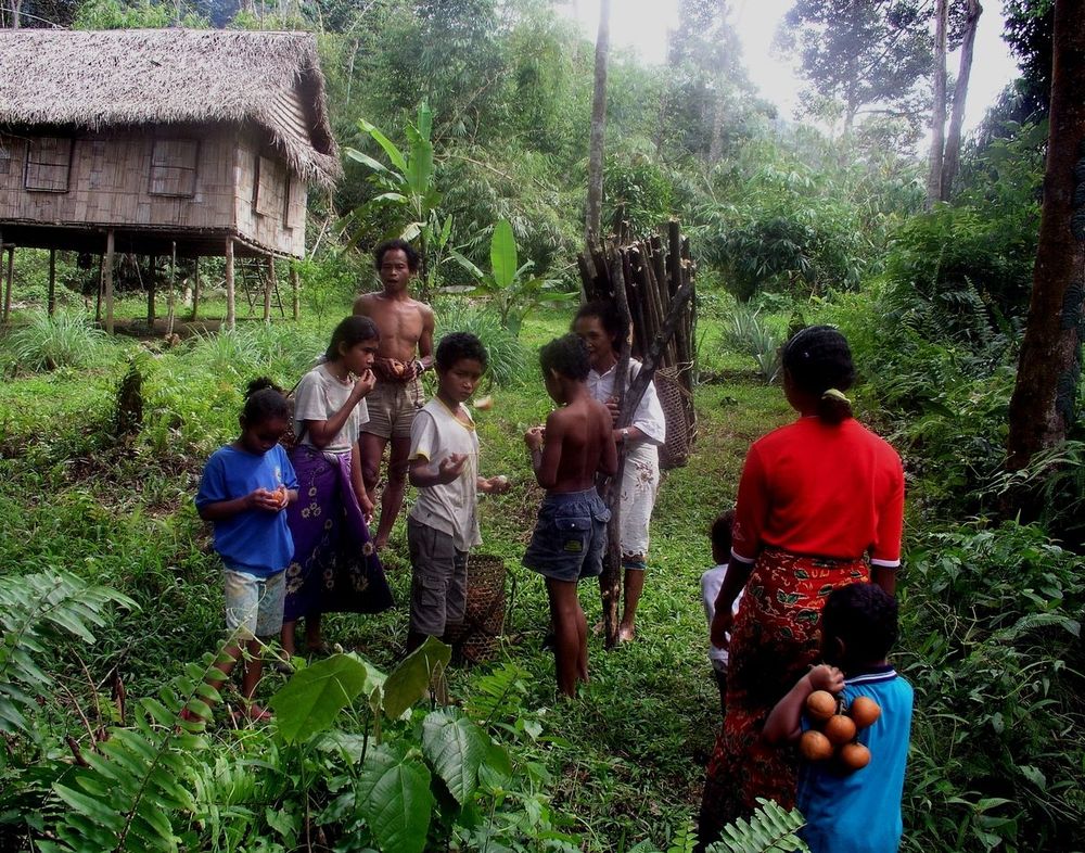 Derechos para nosotros significan bosques para todos | chirapaq.org.pe