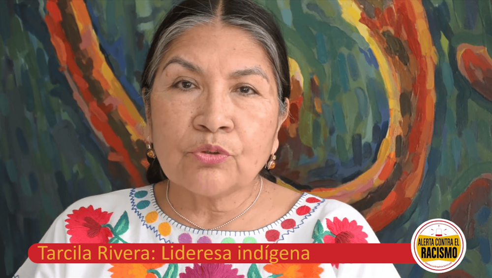 Lideresa indígena hace llamado contra el racismo | chirapaq.org.pe