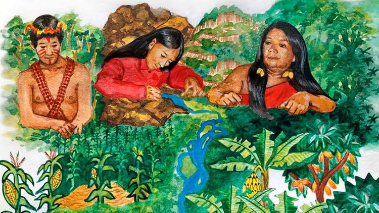 Mujer indígena peruana protagoniza libro ilustrado | chirapaq.org.pe