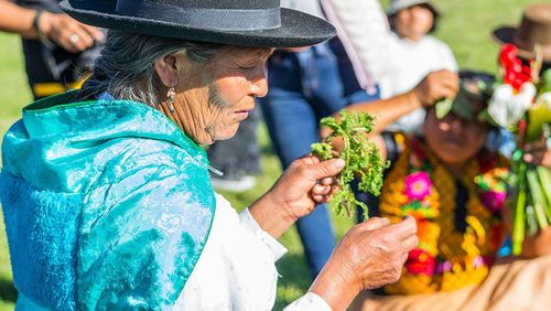 Partería Tradicional: Una práctica ancestral en | chirapaq.org.pe